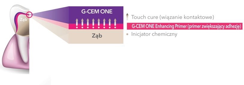 G-CEM ONE Twin Refill 2x4,6g - Producent: GC - Cena: 520,00 zł - - Id ...